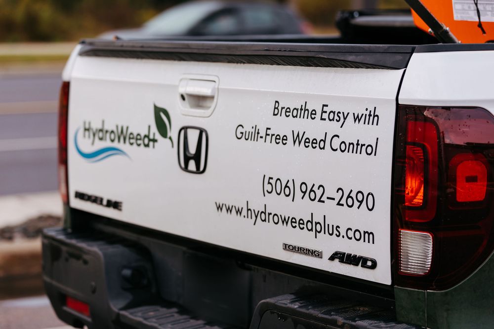 HYDRO WEED PLUS - Updated February 2025 - Request a Quote - 20 Photos ...