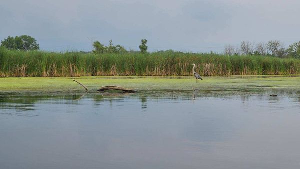 FOX RIVER CANOE ADVENTURES AND KAYAKS - Updated January 2026 - 8330 Fox ...