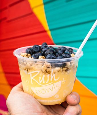 RUSH BOWLS - Updated January 2026 - 18 Photos - 90 Copeland Dr ...