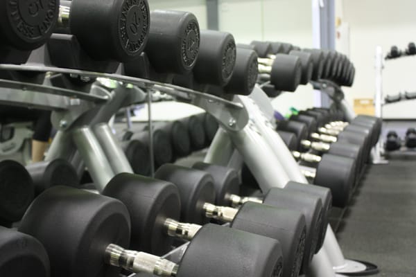 STROUM JEWISH COMMUNITY CENTER - Updated April 2025 - 11 Photos & 21 ...