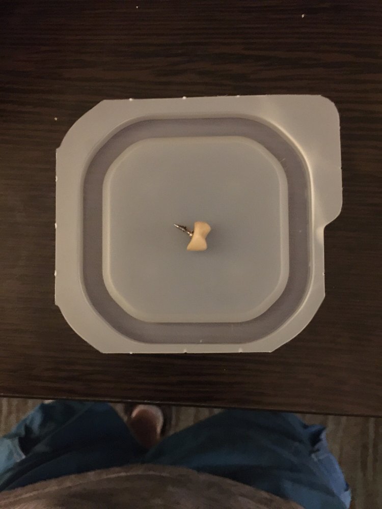 POLLACK GINGER, DMD - Updated October 2025 - 14 Reviews - 665 Boston ...