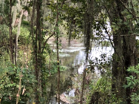 EDWARD MEDARD PARK - Updated September 2024 - 88 Photos & 35 Reviews ...