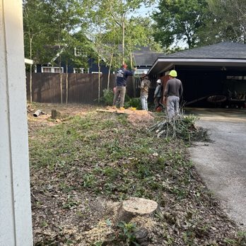 GARDEN OF EDEN TREE SERVICE - Updated October 2025 - Baton Rouge, Louisiana - Tree Services ...