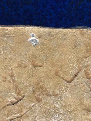 ALOHA POOLS & SPAS OF JACKSON - Updated December 2025 - 14 Photos & 32 ...