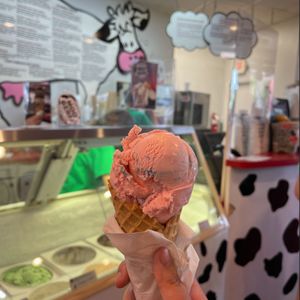 COW CAFE - 76 Photos & 114 Reviews - Sandwiches - 319 Middle St, New ...