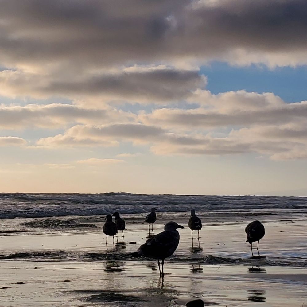 Mapa De La Playa Moonlight De Encinitas Visita South Ponto Beach En
