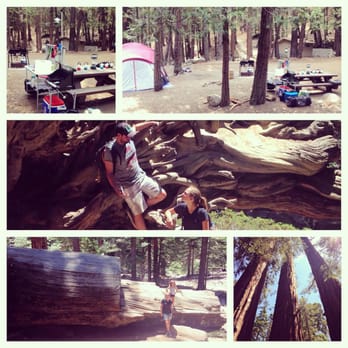 BELKNAP CAMPGROUND - Updated December 2025 - 11 Reviews - Nelson Dr ...