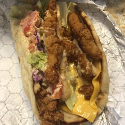 PAPPA GYROS - 271 Photos & 541 Reviews - Greek - 23255 Kingsland Blvd ...