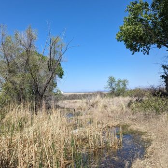 BROWN CANYON RANCH - Updated October 2025 - 29 Photos - 5438 S Calle ...