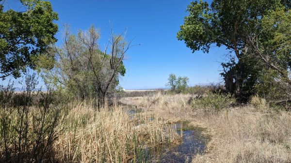BROWN CANYON RANCH - Updated October 2025 - 29 Photos - 5438 S Calle ...