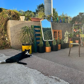 LACY STUDIO LOFTS - Updated December 2025 - 76 Photos & 20 Reviews ...