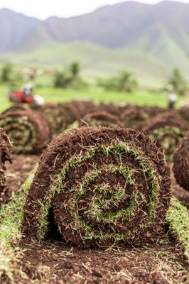 UKUMEHAME SOD FARM - Updated May 2025 - 14 Photos - 550 Ehehene St ...