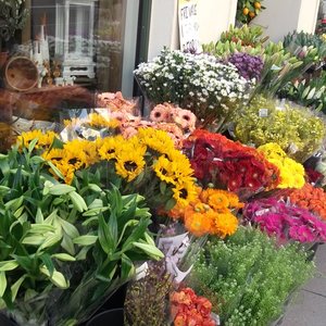 FIOL BLOMSTER - Fiolstræde 18, København, Denmark - Florists - Phone ...