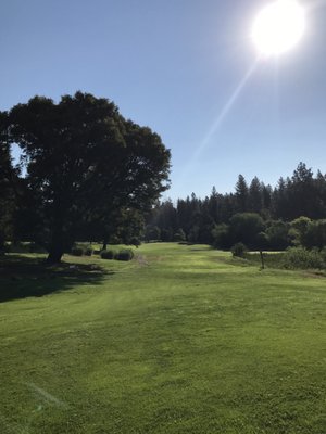 FOREST MEADOWS GOLF COURSE - Updated April 2026 - 15 Photos & 28 ...