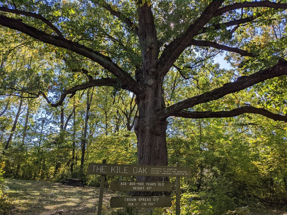 KILE OAK - Updated July 2025 - 14 Photos - 5939 Beechwood Ave ...