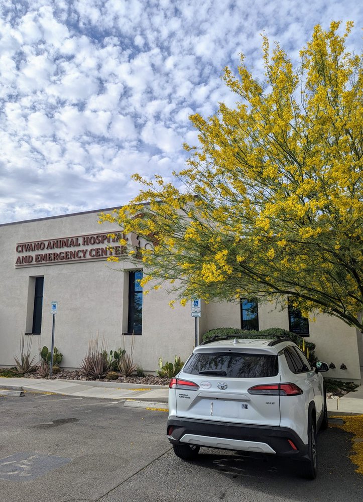 VCA CIVANO ANIMAL HOSPITAL AND EMERGENCY CENTER - Updated July 2025 ...