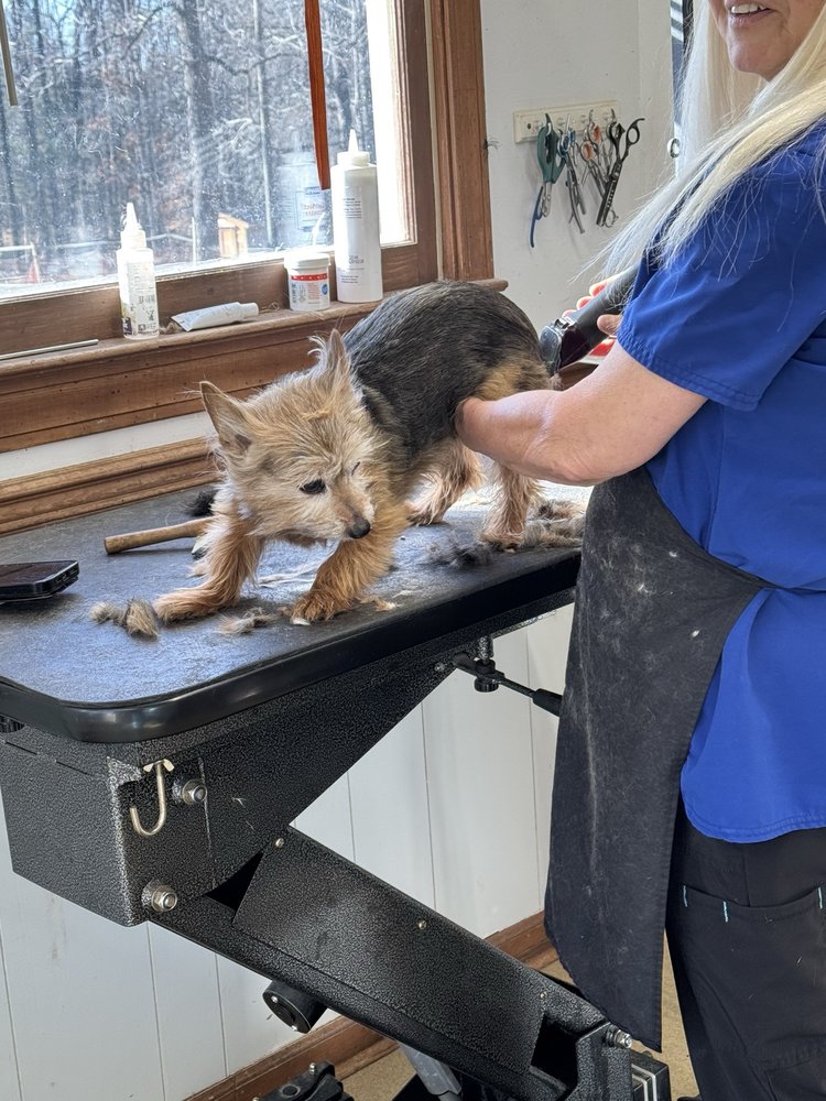 WANDA’S PET PARLOR - Updated October 2025 - 59 Photos - 235 Gregory Rd ...