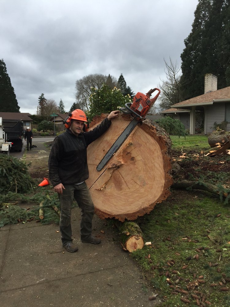 HIGH TOP TREE TRIMMING - 10145 NW Lee St, Portland, Oregon - Tree ...