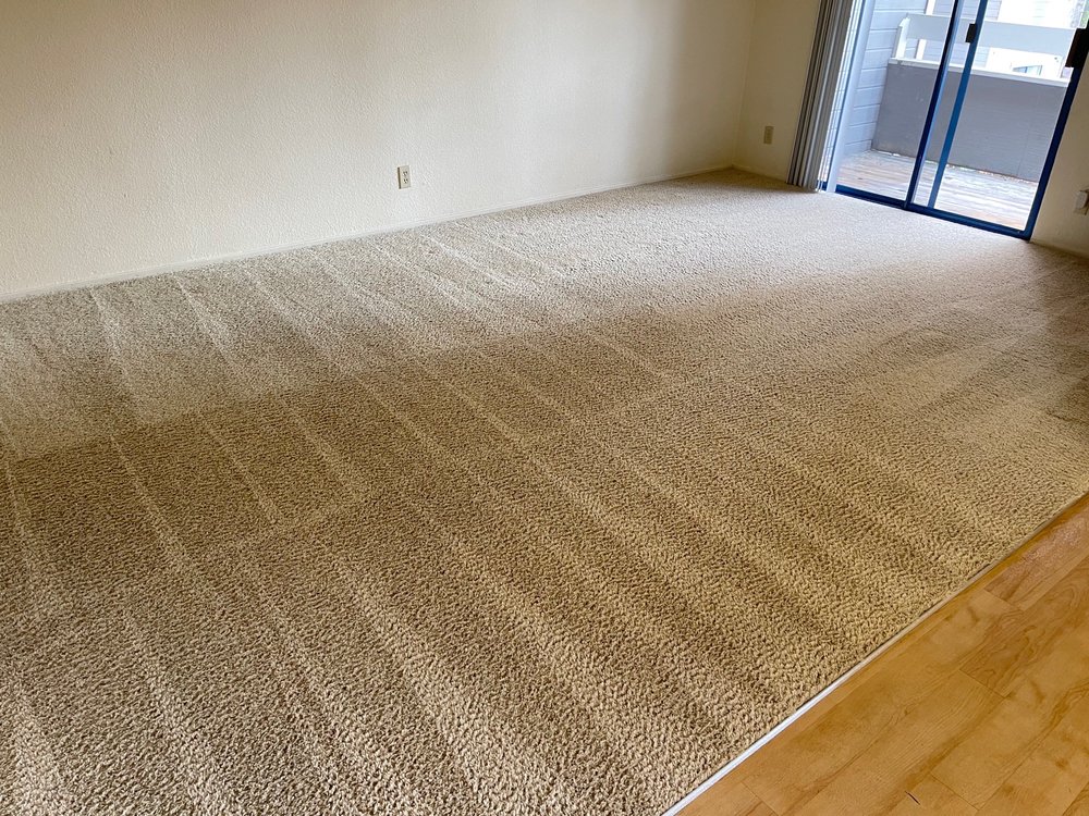 MISTAH CLEAN’S CARPET CLEANING - Updated August 2025 - 14 Photos ...