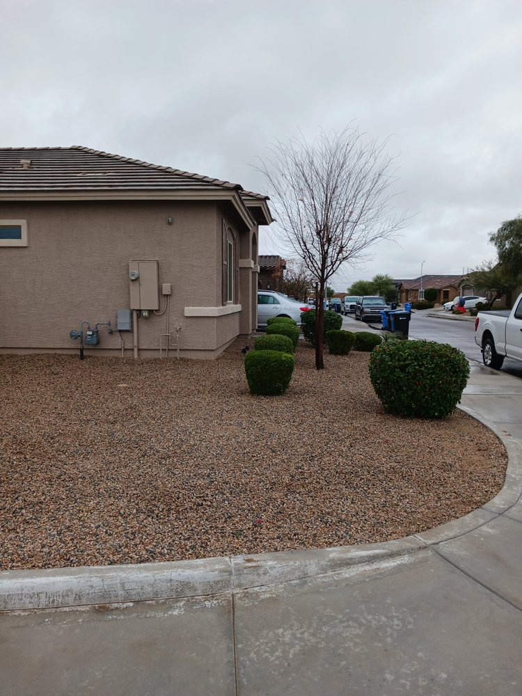 CACTUS BLESSED LANDSCAPING - Updated December 2025 - Request a Quote ...