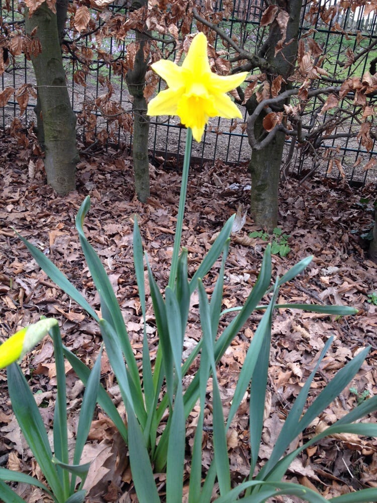 WEOLEY CASTLE RUINS - Alwold Road, Birmingham, West Midlands, United ...