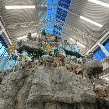 SCHEELS - Updated September 2025 - 132 Photos & 36 Reviews - 700 S ...