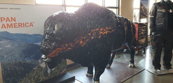 FORT THUNDER HARLEY-DAVIDSON - Updated November 2025 - 22 Photos & 45 ...