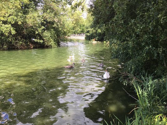 ALDENHAM COUNTRY PARK - Updated February 2026 - Dagger Lane ...
