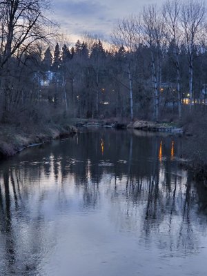 PARK AT BOTHELL LANDING - 71 Photos & 52 Reviews - Parks - 9919 NE ...