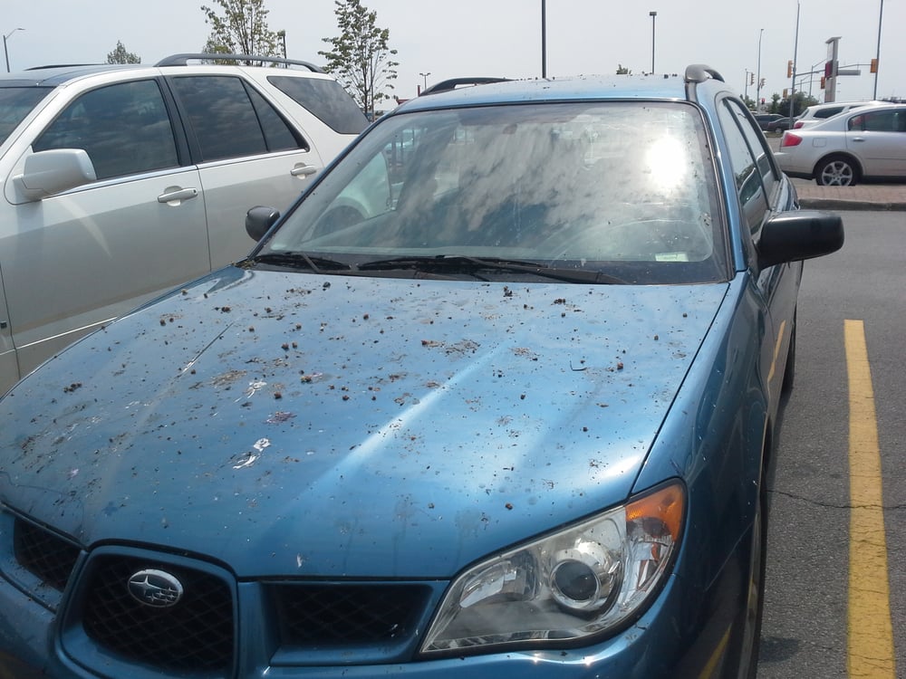 TECH PLUS AUTO SERVICES - Updated December 2025 - 3090 Woodchester ...