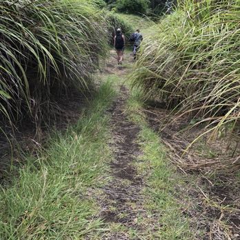 PRIEST’S POOLS - Updated July 2025 - 14 Photos - Merizo, Guam - Hiking ...