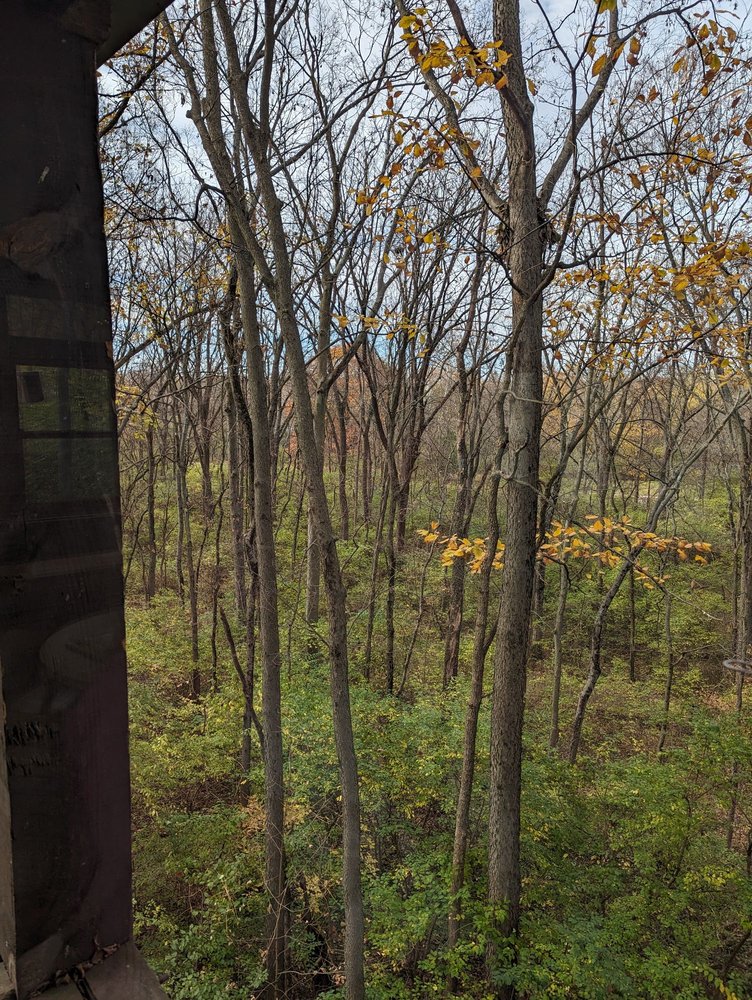 BOONSHOFT MUSEUM OF DISCOVERY - Updated March 2025 - 160 Photos & 75 ...