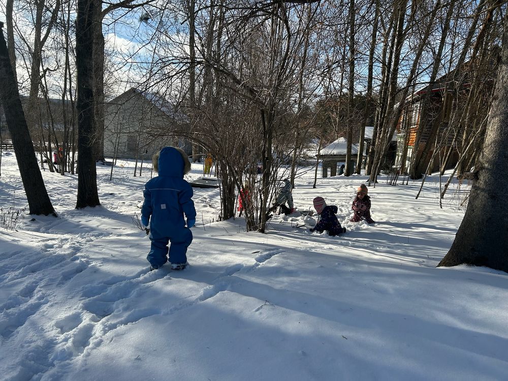 OAK HILL FOREST PROGRAMS - Updated October 2025 - Cooperstown, New York - Preschools - Phone ...