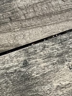 ADH GROUP - Updated December 2025 - 57 Photos & 14 Reviews - 95-02 ...