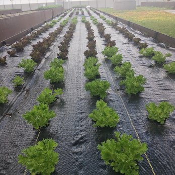 THE SKY FARM AT ESKENAZI HEALTH - Updated December 2025 - 125 Photos ...