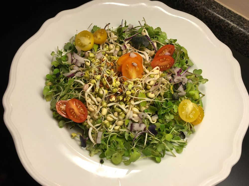 THAT GIRL CAN COOK - Updated July 2025 - 22 Photos - Queens, New York ...