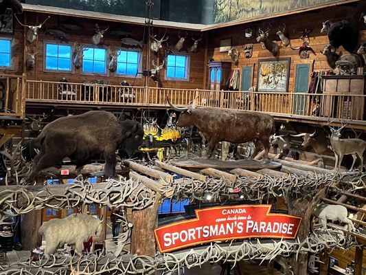 BASS PRO SHOP - Updated January 2026 - 44 Photos & 42 Reviews - 112 ...