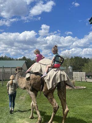 SAFARI NORTH WILDLIFE PARK - Updated August 2025 - 57 Photos & 35 ...