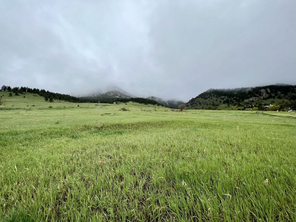 GREEN MOUNTAIN WEST RIDGE - 13 Photos - Green Mountain W Ridge Trl ...