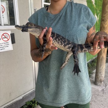 CROC ENCOUNTERS - Updated July 2024 - 265 Photos & 131 Reviews - 8703 ...