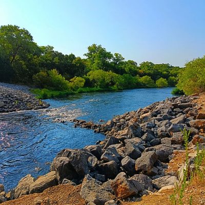 LLELA NATURE PRESEVE - Updated January 2026 - 31 Photos - 201 E Jones ...