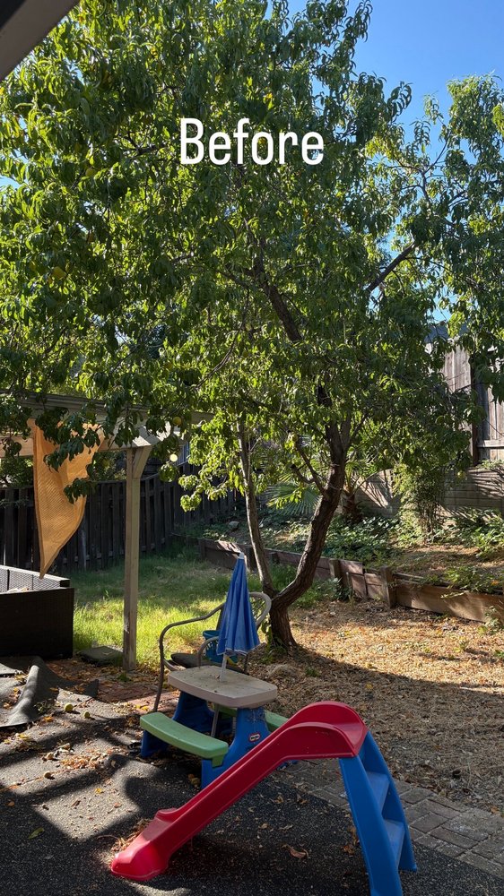 TD PROFESSIONAL LANDSCAPING - Updated December 2025 - 14 Photos & 13 ...