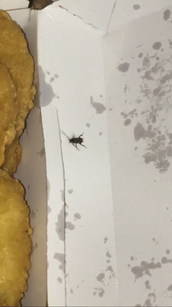 MCDONALD’S - Updated October 2025 - 18 Reviews - 2485 Blanding Blvd ...