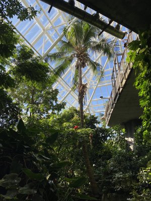 RAINFOREST PYRAMID - 143 Photos & 26 Reviews - 1 Hope Blvd, Galveston ...