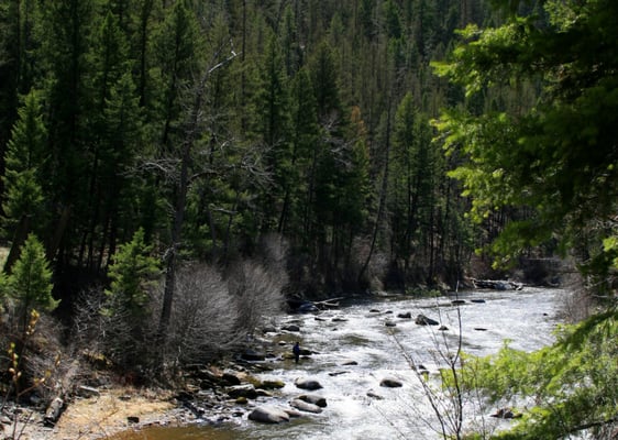 WELCOME CREEK WILDERNESS - Updated August 2025 - Rock Creek Rd, Clinton ...