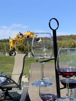 DANCING DRAGONFLY WINERY - 80 Photos & 75 Reviews - 2013 120th Ave, St ...