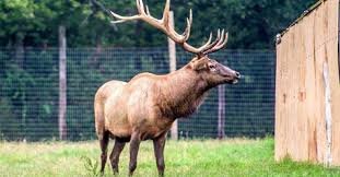 RIVERSIDE PARK AND RALPH MITCHELL ZOO - Updated May 2026 - 22 Photos ...