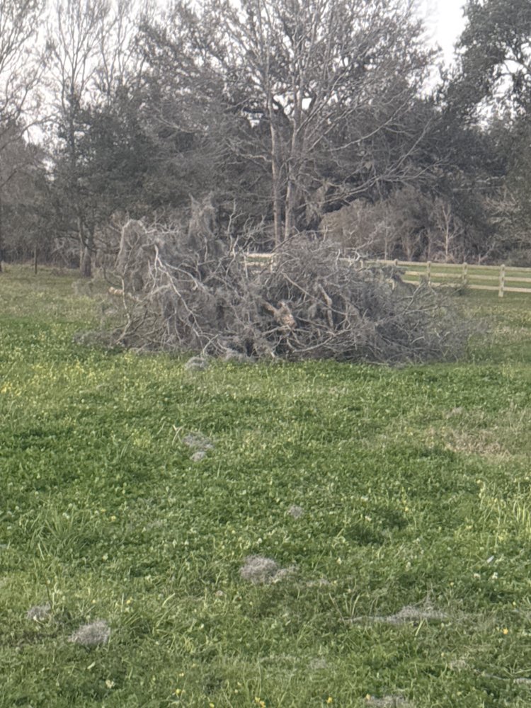 BRANCH OUT BROS - Updated July 2025 - Request a Quote - 47 Photos ...