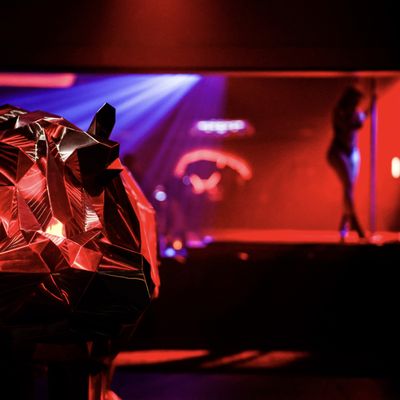 PEPPERMINT HIPPO - Updated December 2025 - 97 Photos & 165 Reviews ...