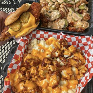 HOUSTON TX HOT CHICKEN - Updated April 2025 - 433 Photos & 235 Reviews ...